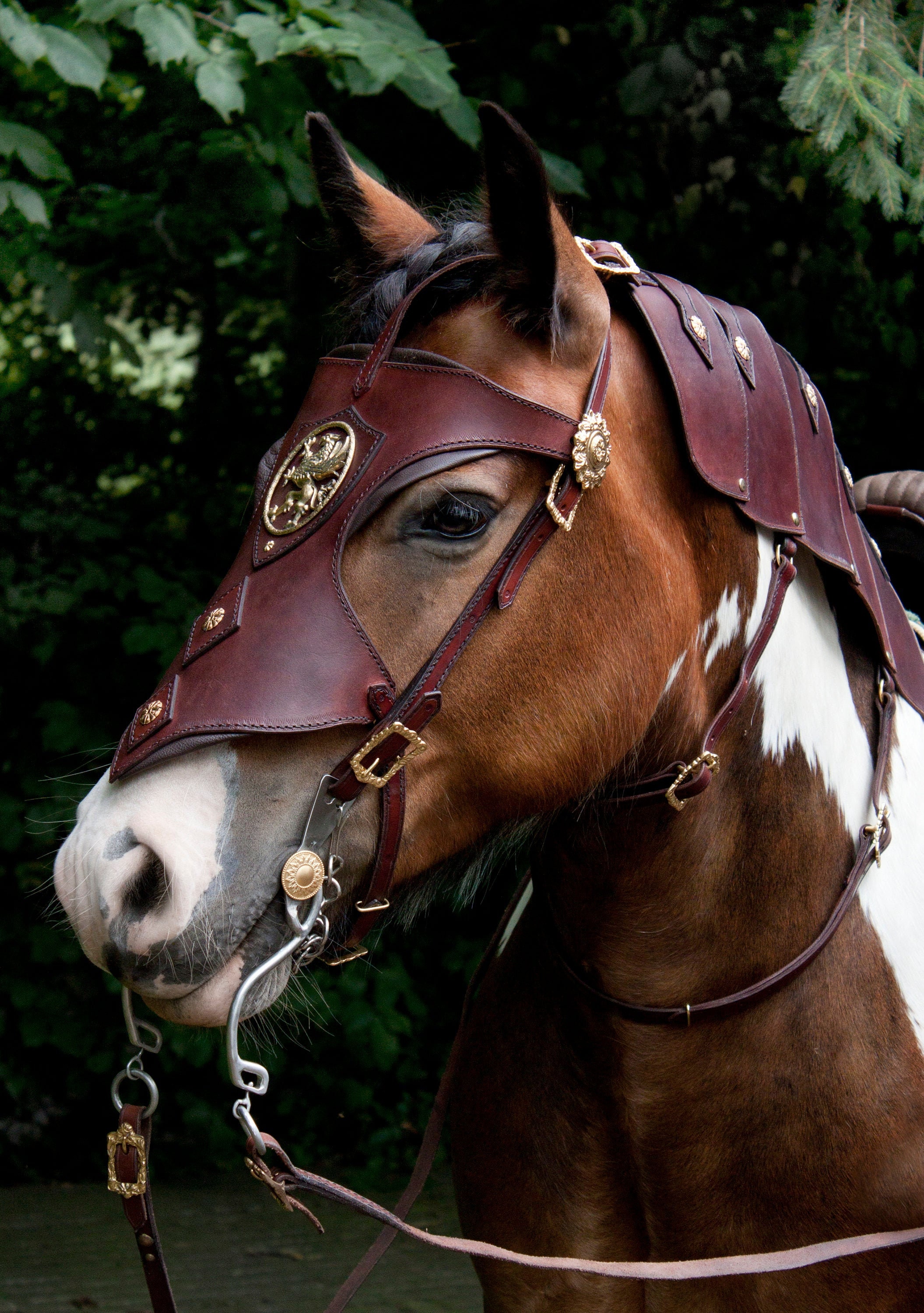 Chamfron 1 DIGITAL PATTERN Pdf Dxf - Etsy