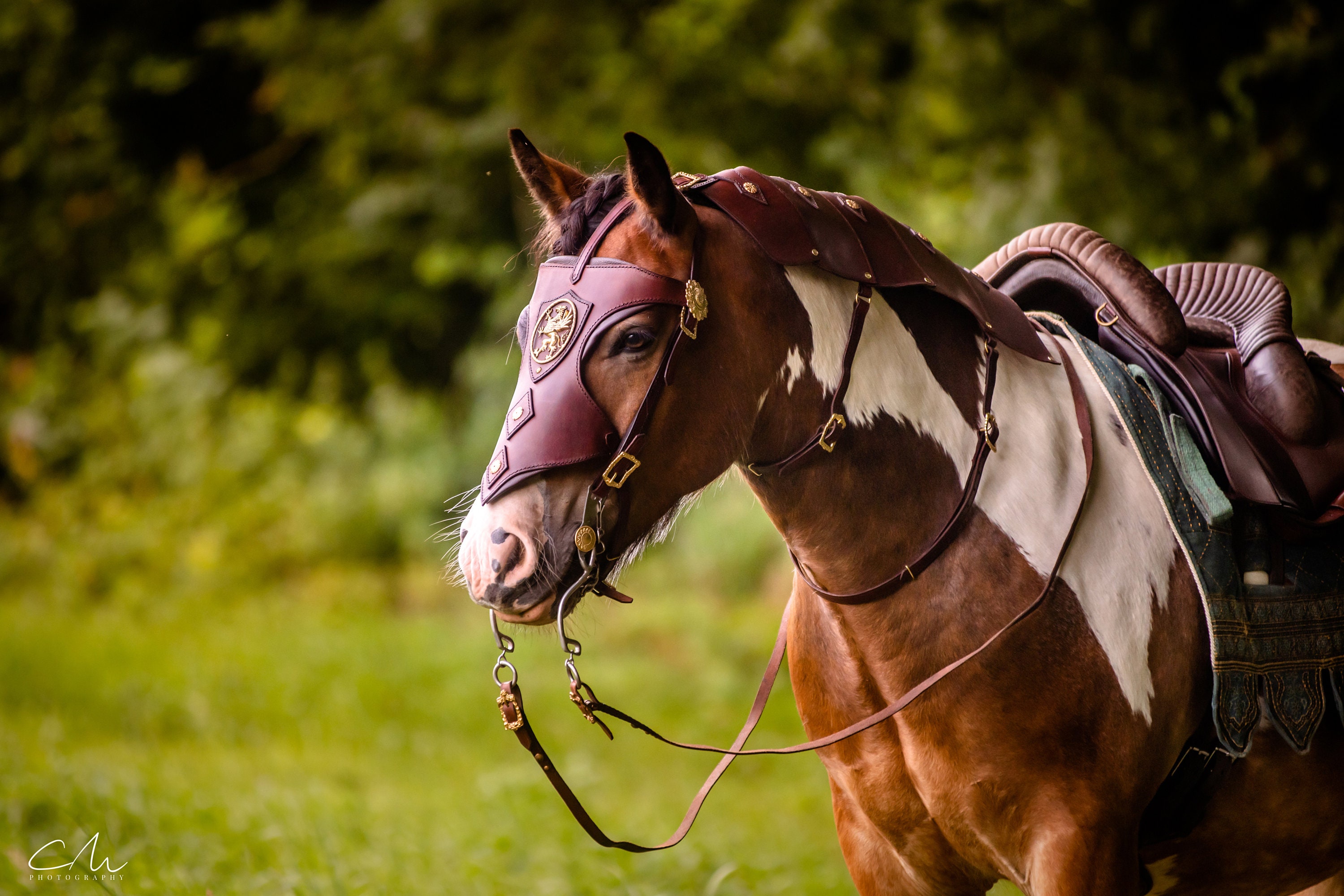 Chamfron 1 DIGITAL PATTERN Pdf Dxf - Etsy