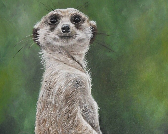 Meerkat Print, Meerkat Painting, Meerkat Art, Meerkat Artwork, Meerkat ...