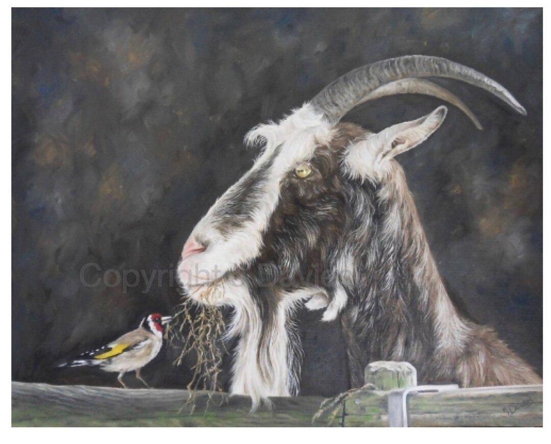 Goat Painting Goat Print Farm Animal Painting Farm Animal - Etsy