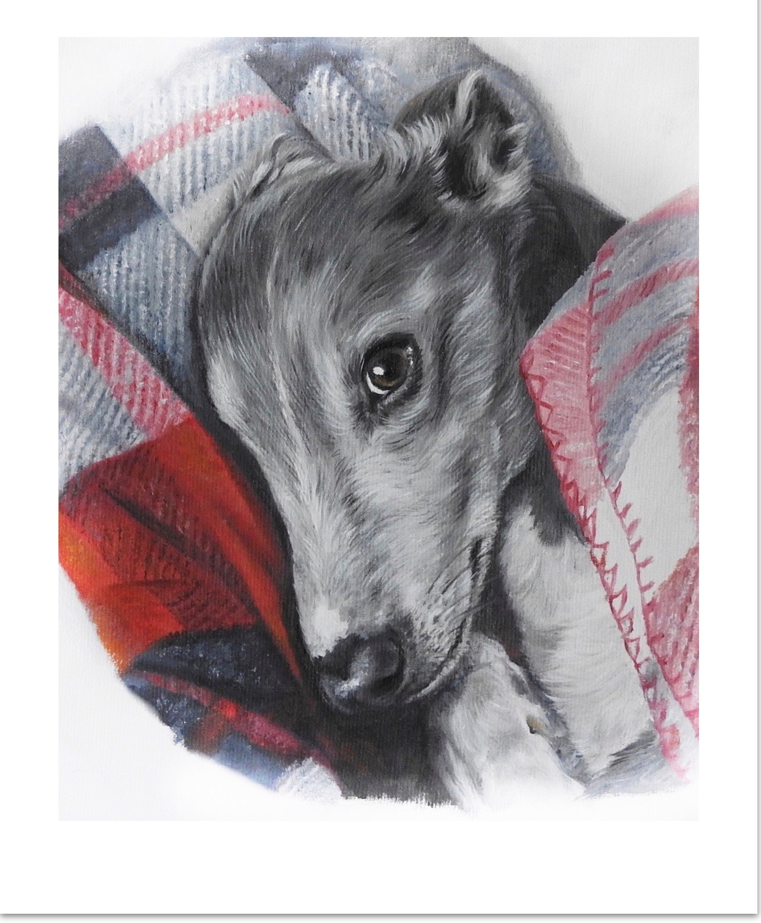 Whippet Art Print Whippet Painting Whippet Print Sighthound - Etsy UK