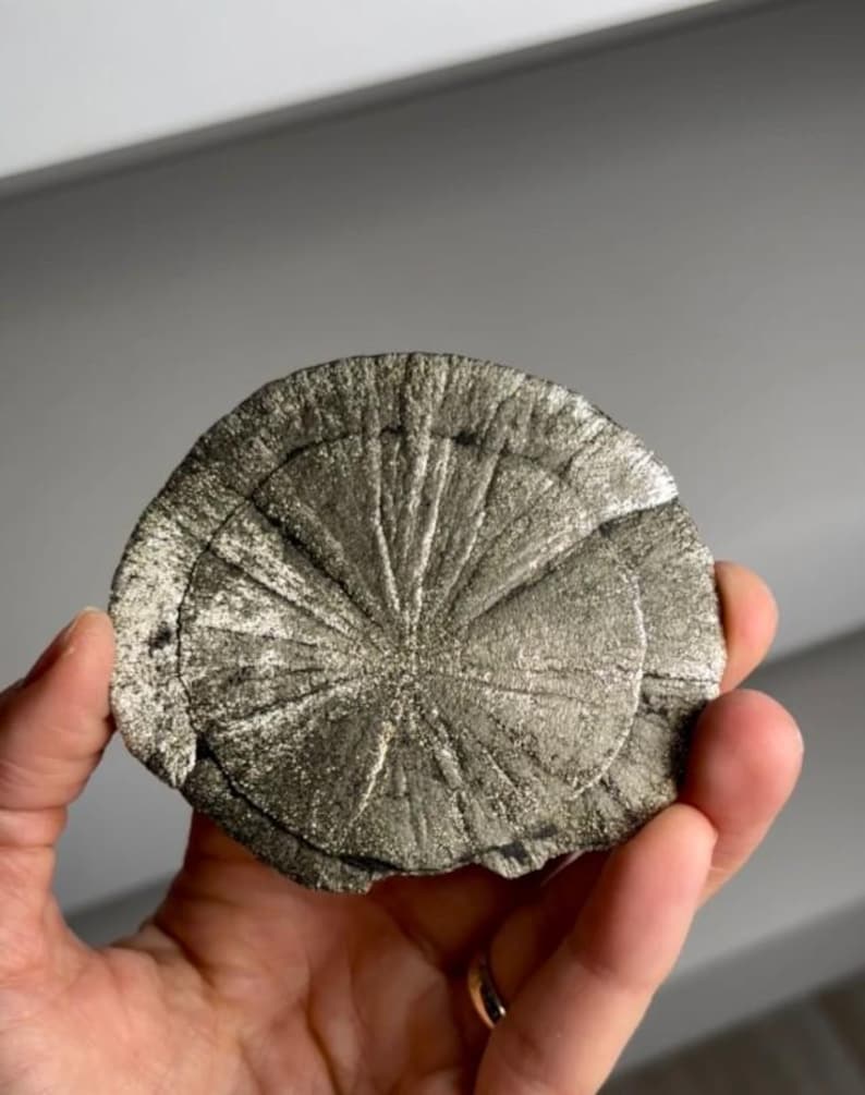 Pyrite Sun From Sparta, Illinois - Etsy UK