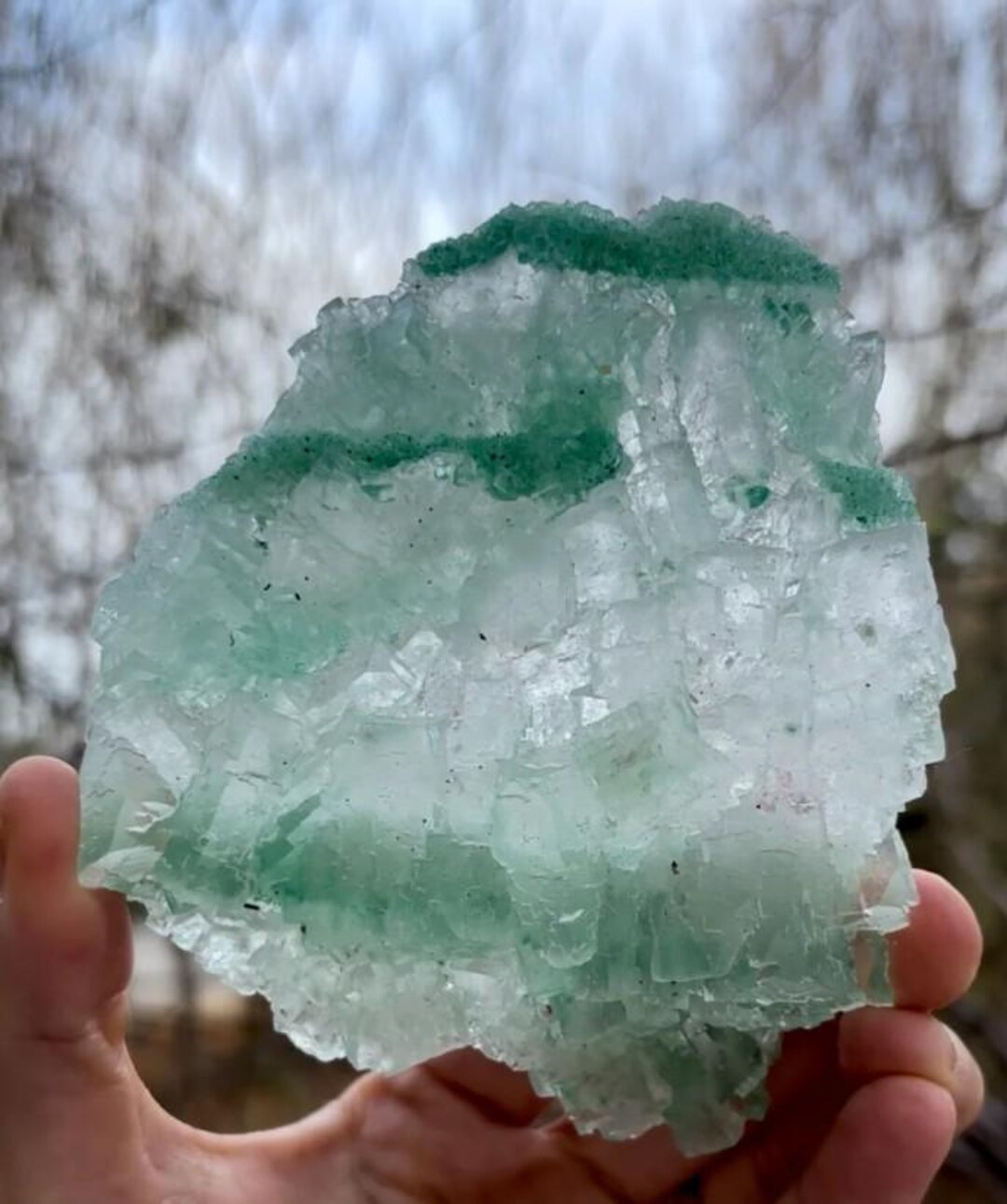 Icy Green Halite Specimen – Exceptional Luster - Etsy