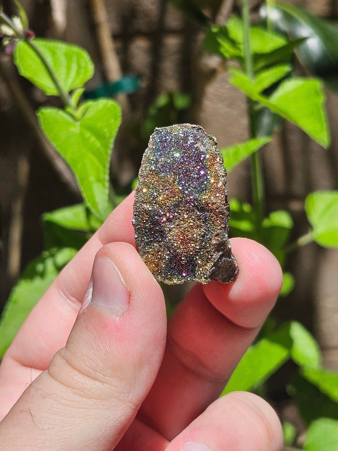 22g Chalcopyrite//raw Mineral//rainbow//marcasite//geodes ...