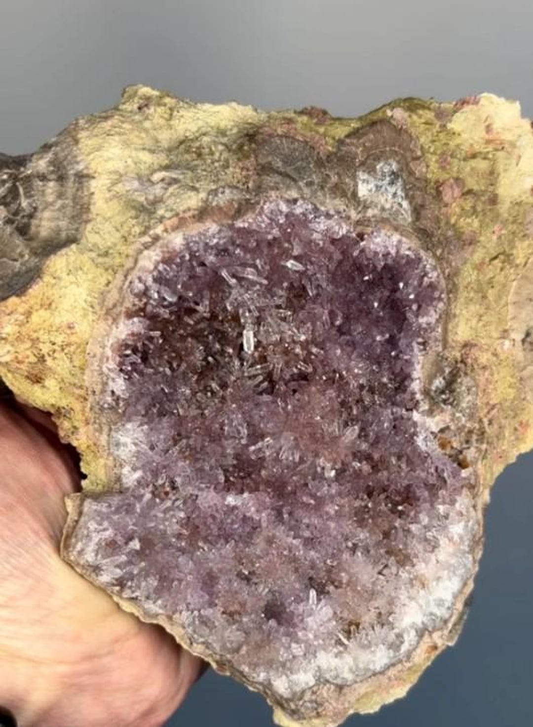 Fresh Discovery – Uv-reactive Amethyst Geode (campo Verde, Chihuahua ...