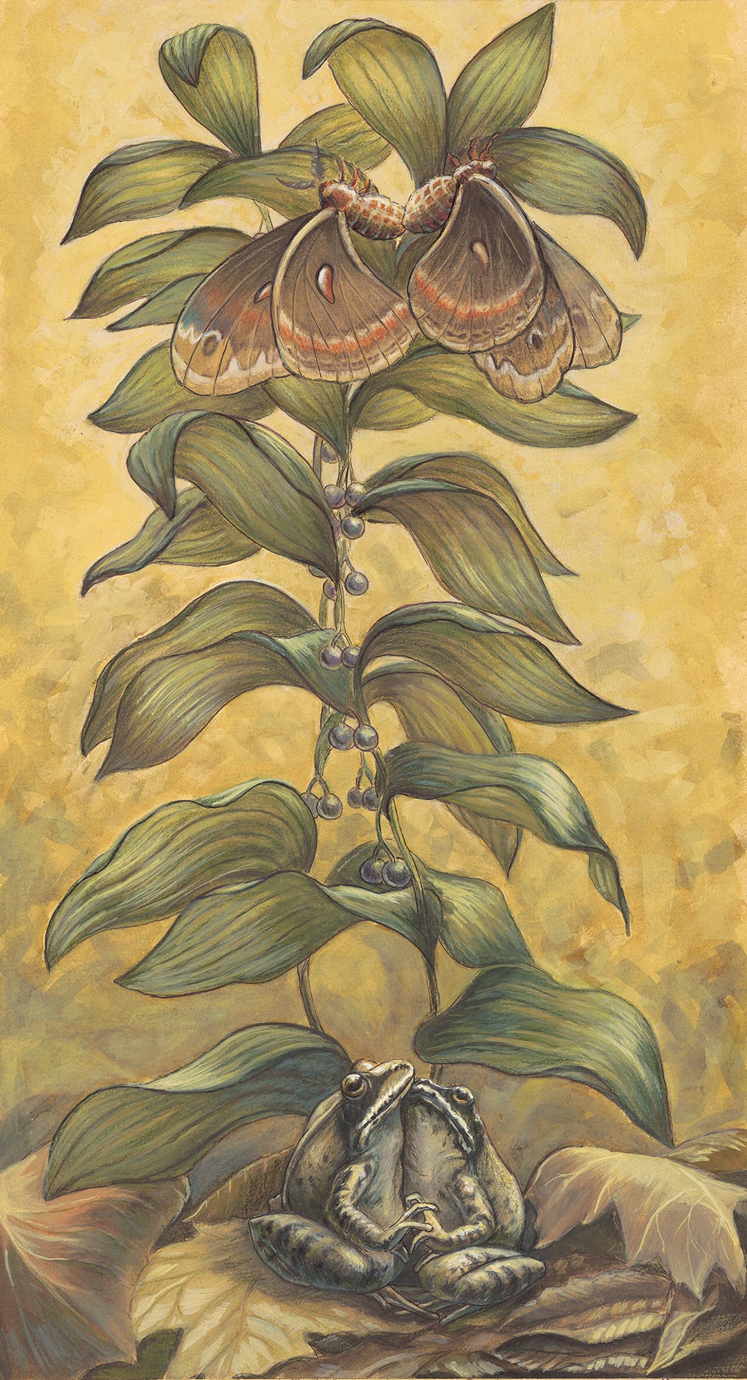 Vernalagnia - Limited Edition Art Print - Etsy