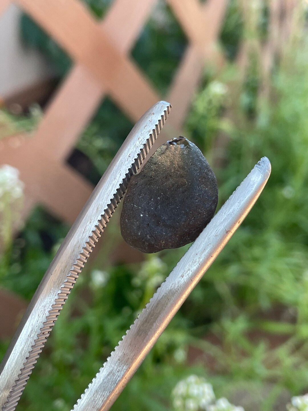 Raw Tektite Rocks Natural Colombianite Genuine Tektite Unique From Peru ...