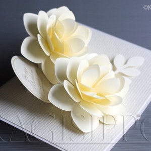 Template__pop-up Card__double White Flowers (pdf_digital Download File ...