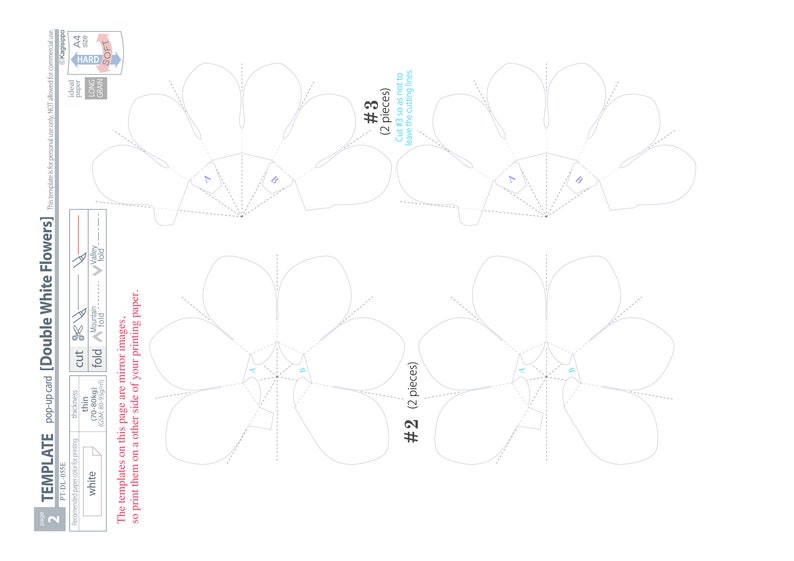 Template__pop-up Card__double White Flowers (pdf_digital Download File ...