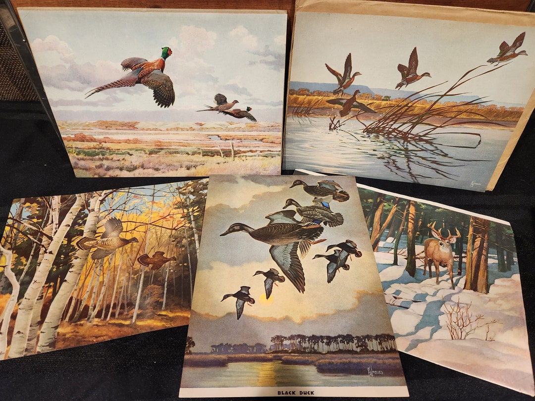 Vintage Outdoor Life Animal Prints - Etsy