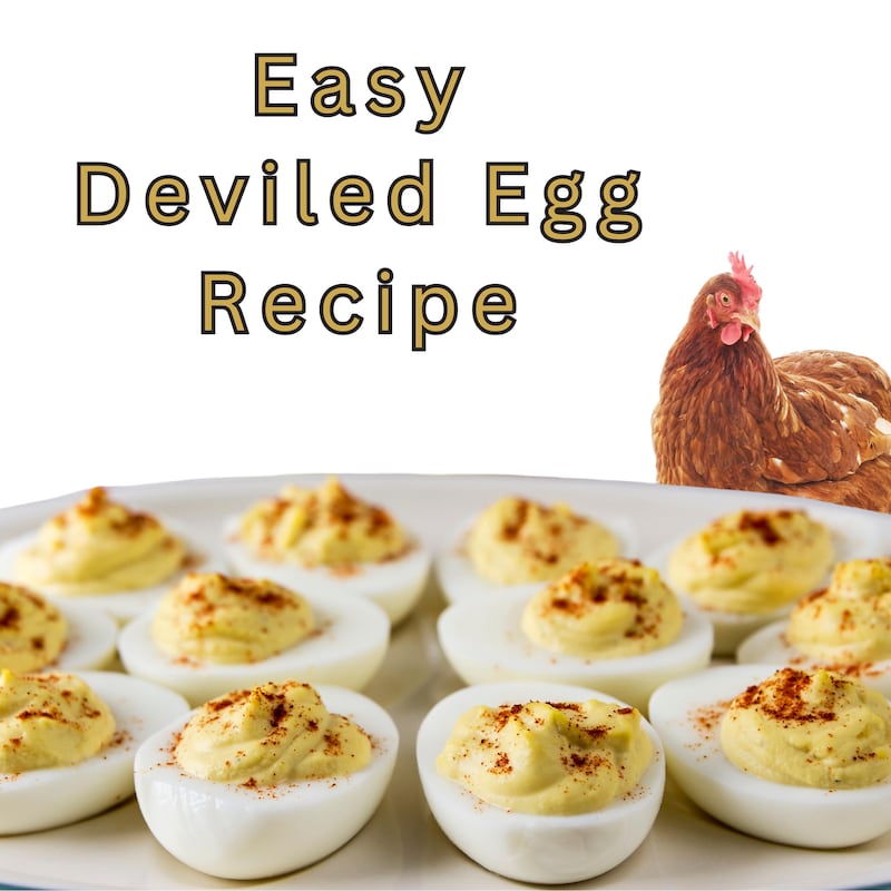 Deviled Egg Tray - Etsy