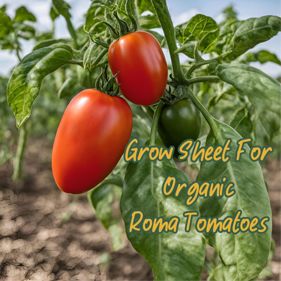 Grow Sheet for Organic Roma Tomato AKA Plum or Paste Tomatoes - Etsy