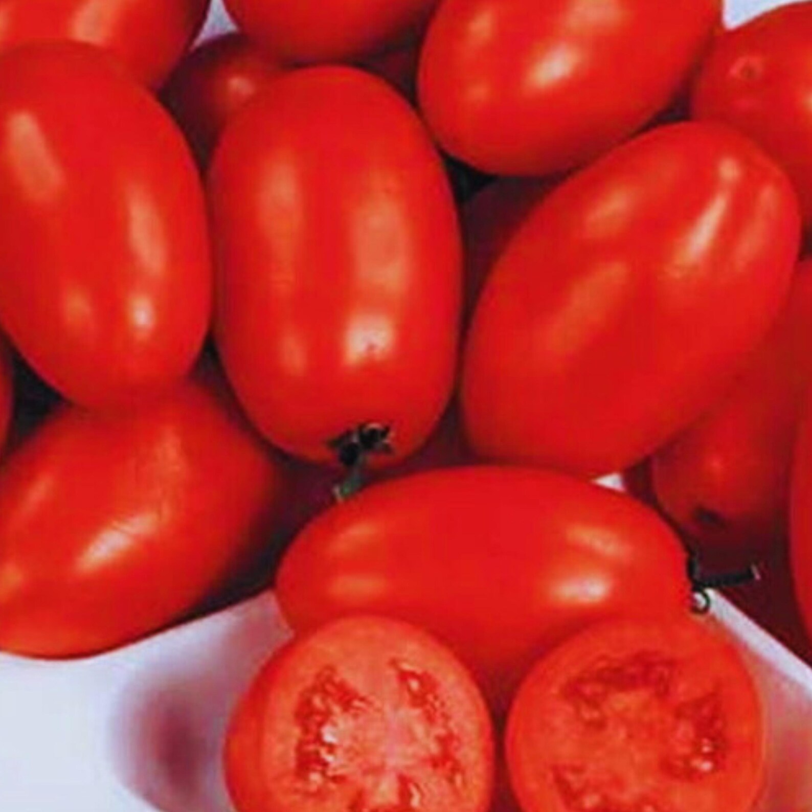 Grow Sheet for Organic Roma Tomato AKA Plum or Paste Tomatoes - Etsy