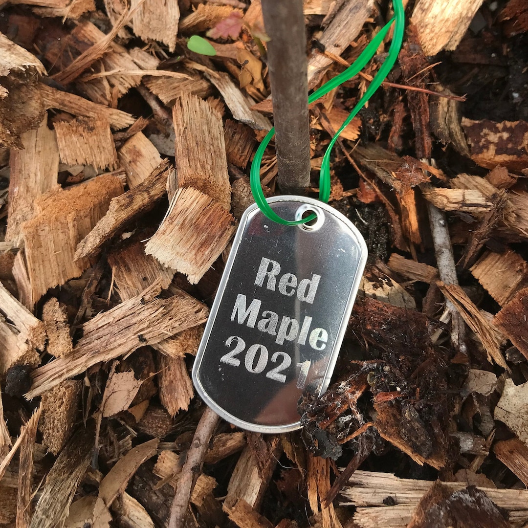 Custom Engraved Stainless Steel Tree Tag for Garden Labeling - Etsy