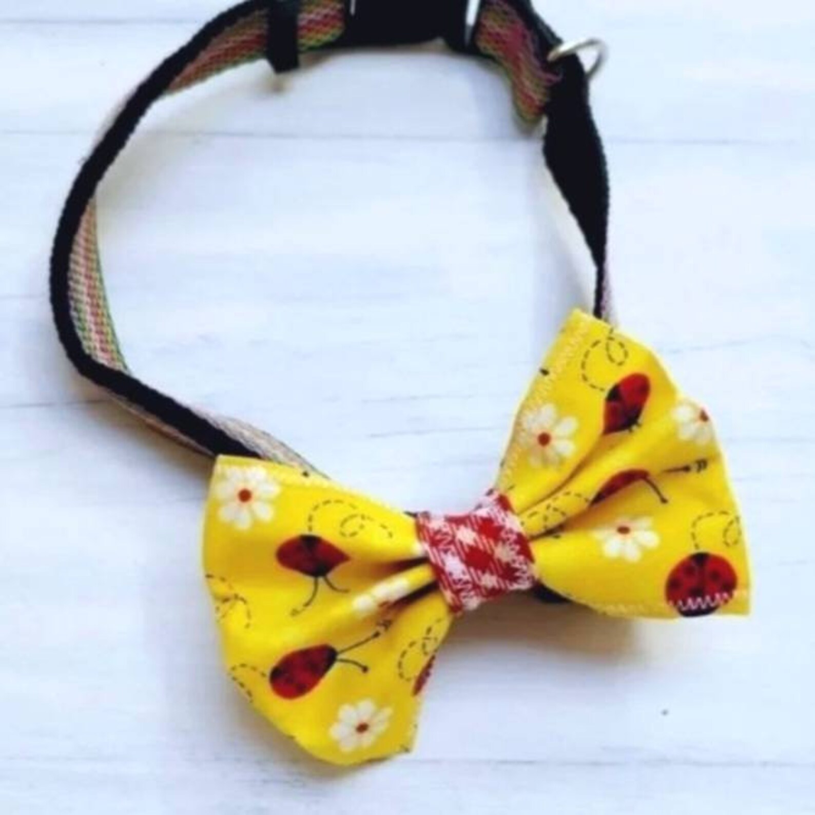 LADYBUG GINGHAM Bow Tie - Etsy