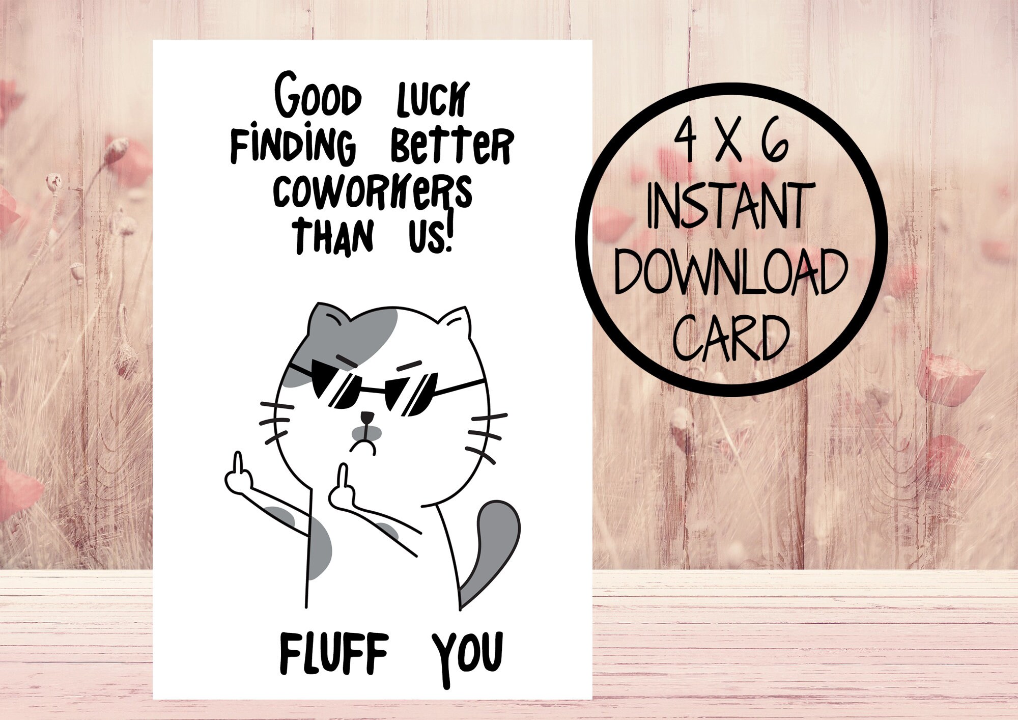 Goodbye Funny Cat
