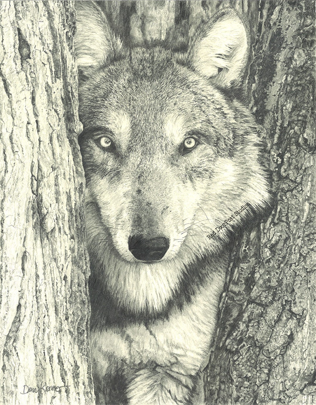 Limited Edition Fine Print of Wolf Between Two Trees. 11 X 14 - Etsy Norway