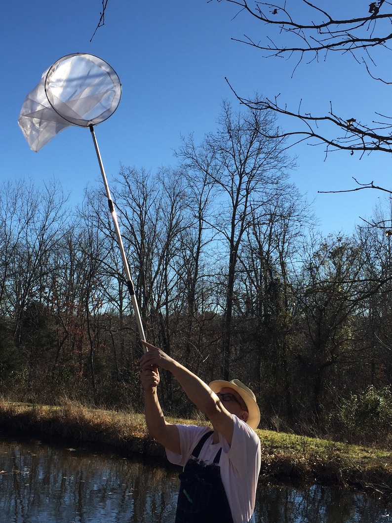 Aerial Butterfly Net - Telescoping - Etsy