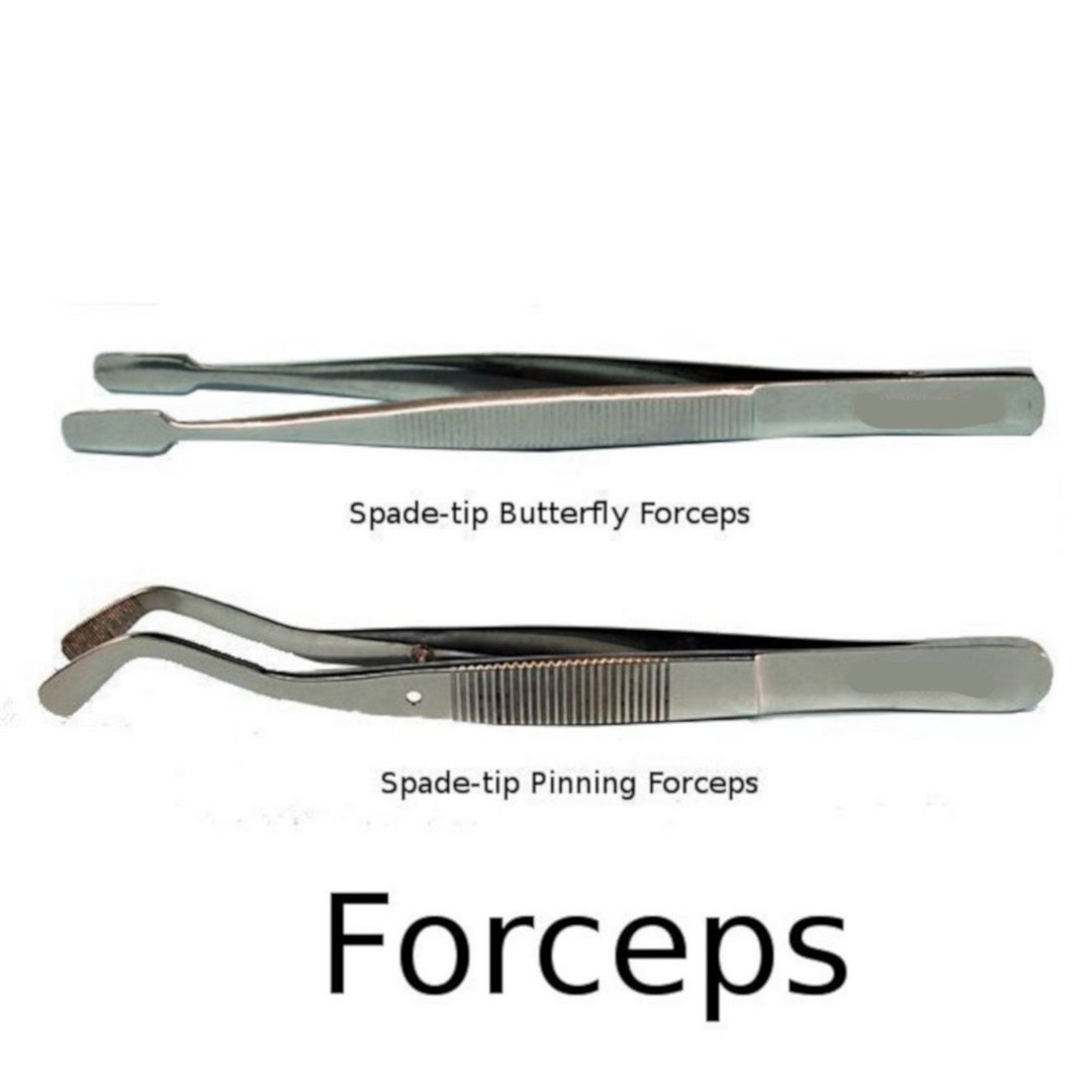 Forceps, Spade Tip Butterfly and Pinning Pair - Etsy