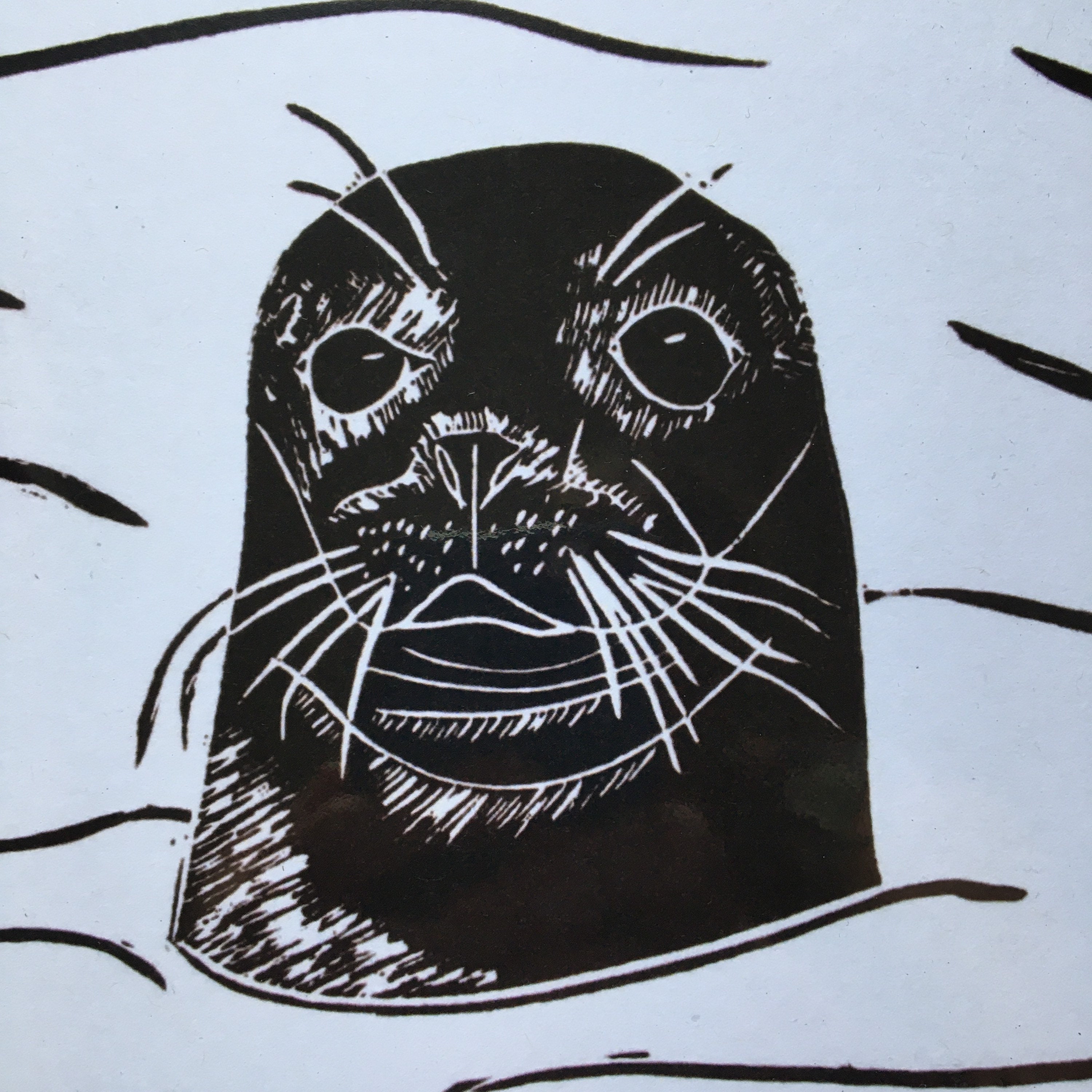 Seal Art Print From an Original Lino Print - Etsy
