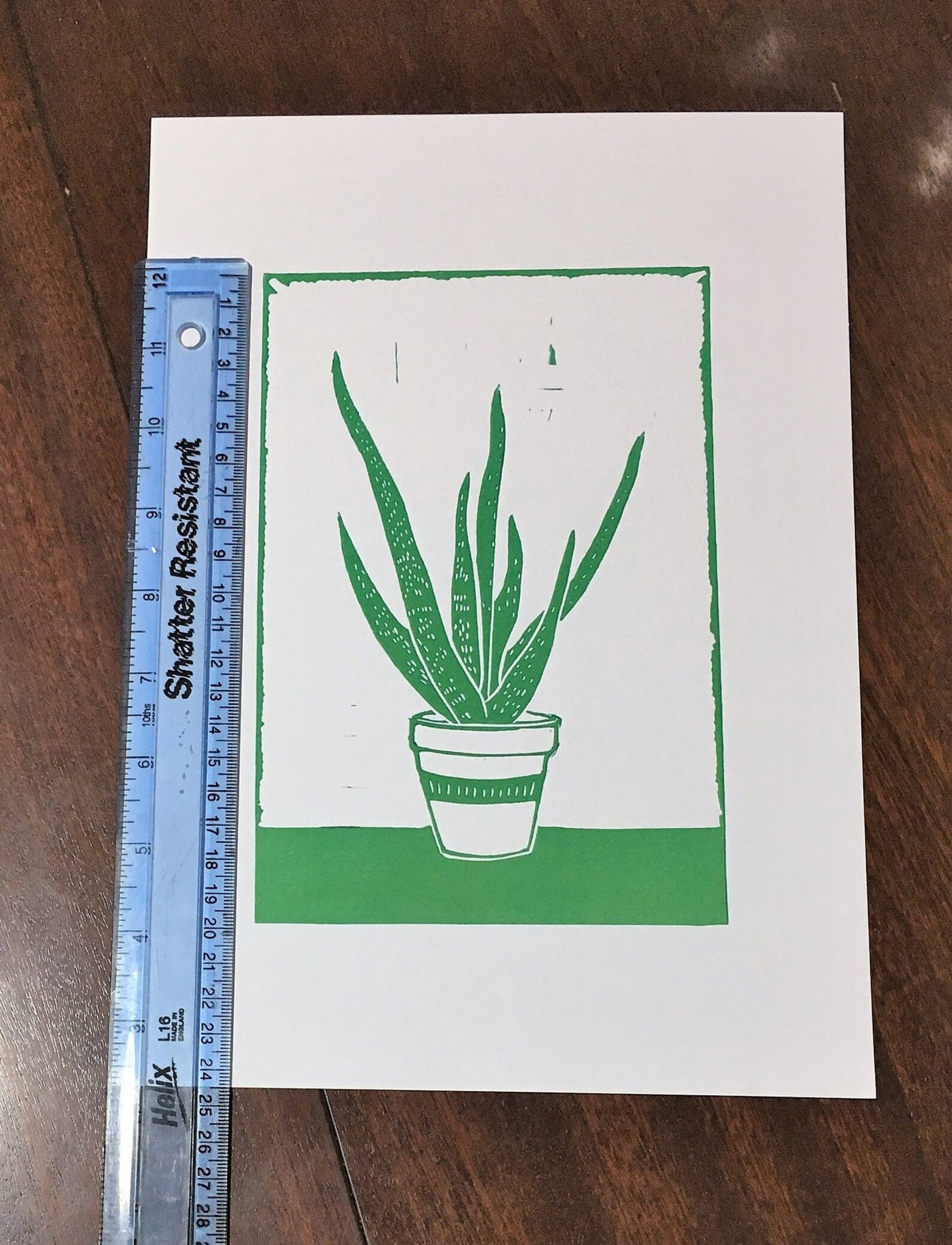 Aloe Vera Art Print - From an Original Lino Print - Etsy
