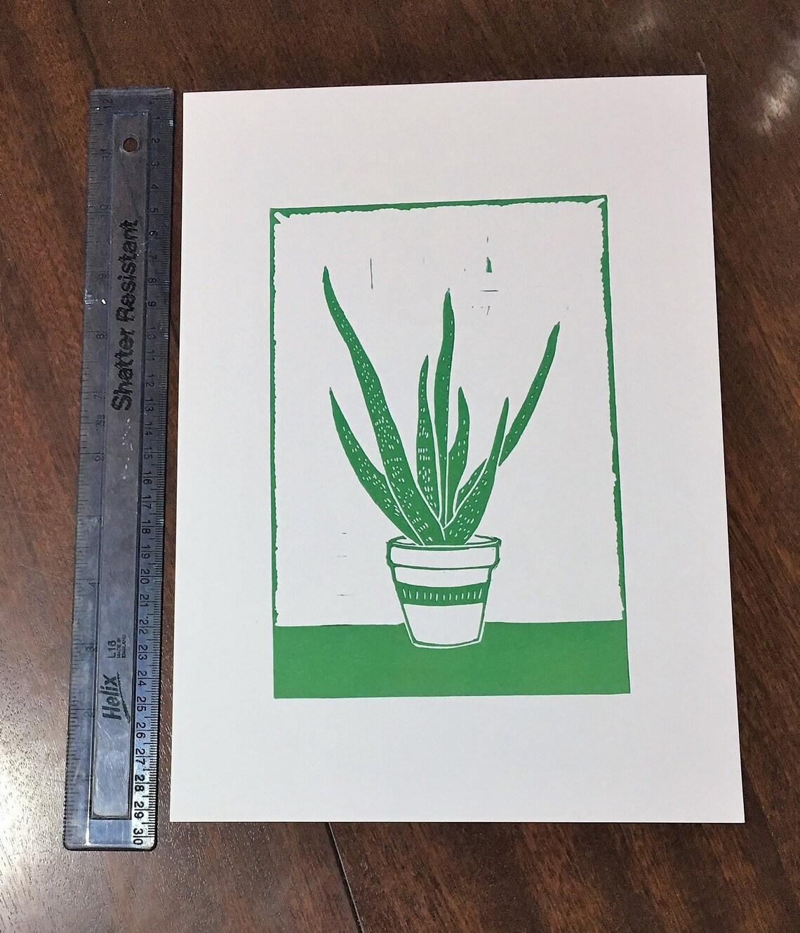 Aloe Vera Art Print - From an Original Lino Print - Etsy