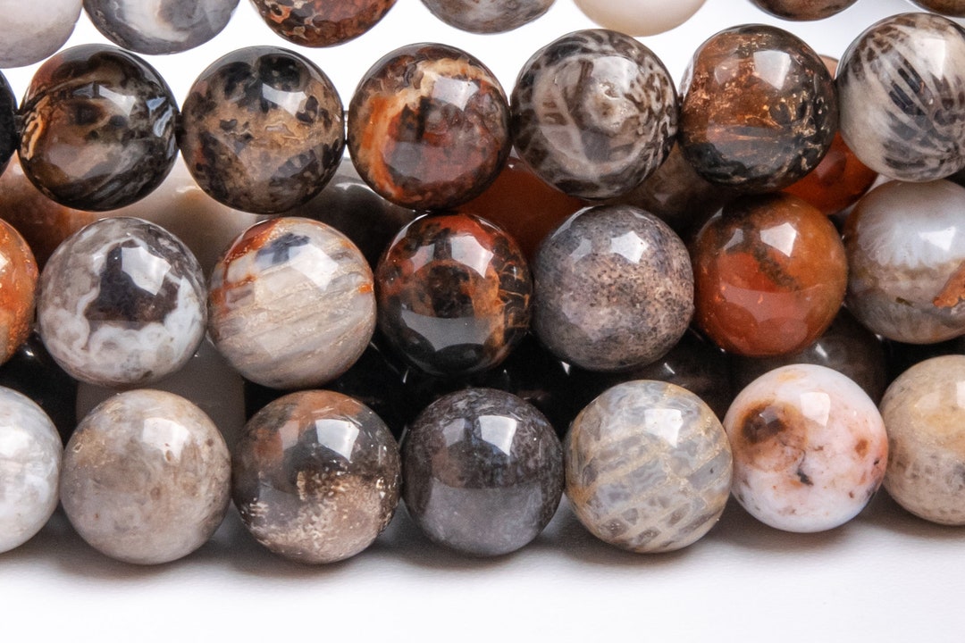 Genuine Natural Coral Fossil Jasper Gemstone Beads 6MM Multicolor Round ...