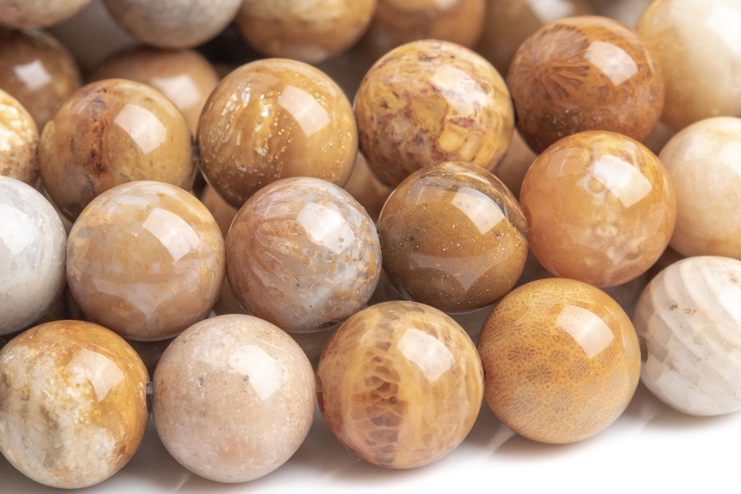 Genuine Natural Coral Fossil Jasper Gemstone Beads 8MM Multicolor Round ...