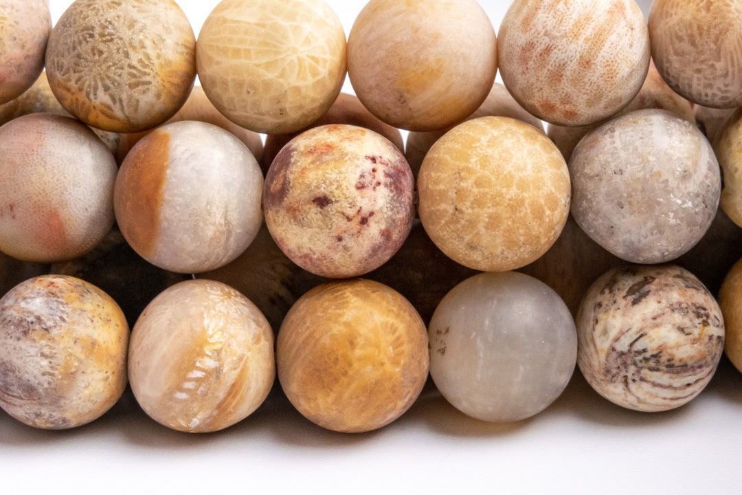 Genuine Natural Coral Fossil Jasper Gemstone Beads 10MM Matte ...