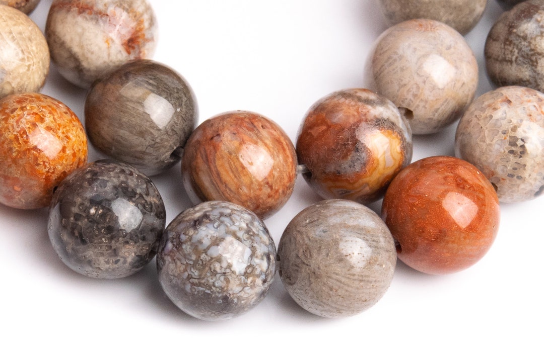 Genuine Natural Coral Fossil Jasper Gemstone Beads 8MM Multicolor Round ...