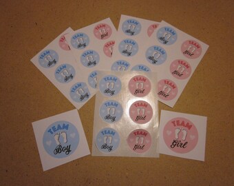 Set of 12 Team Boy / Team Girl Stickers Gender Reveal | Etsy