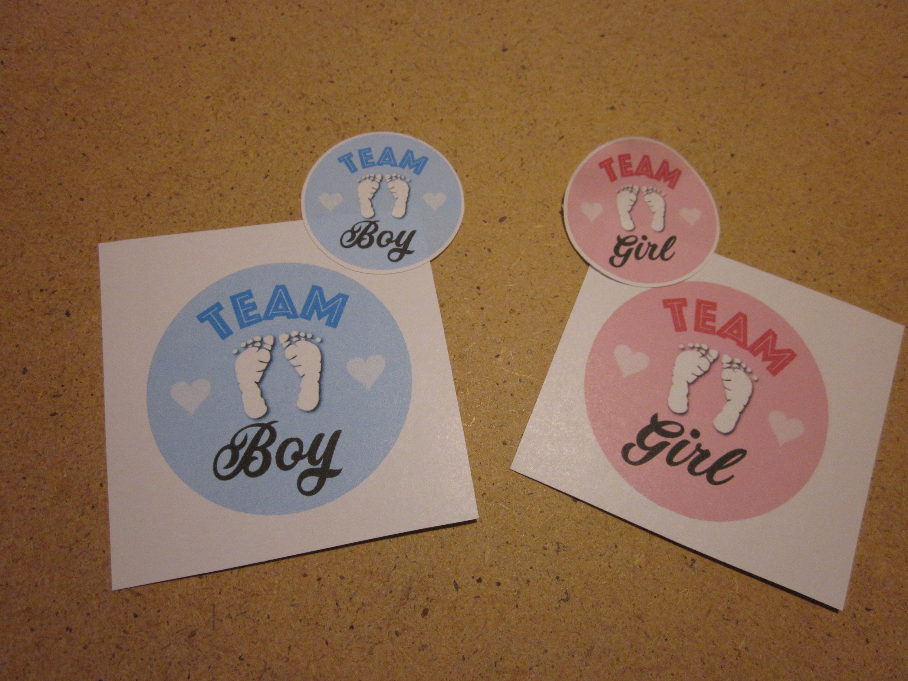 Set of 12 Team Boy / Team Girl Stickers Gender Reveal - Etsy