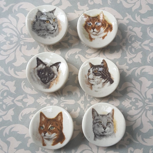 Cat Buttons - Etsy