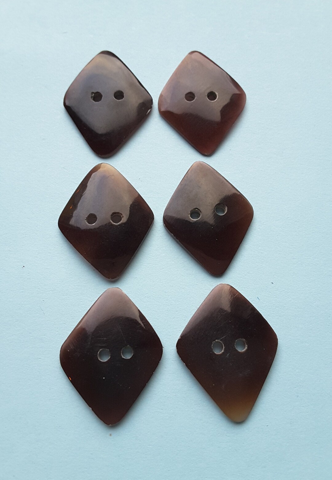 Vintage Set of Six Natural Penn Shell Buttons. - Etsy