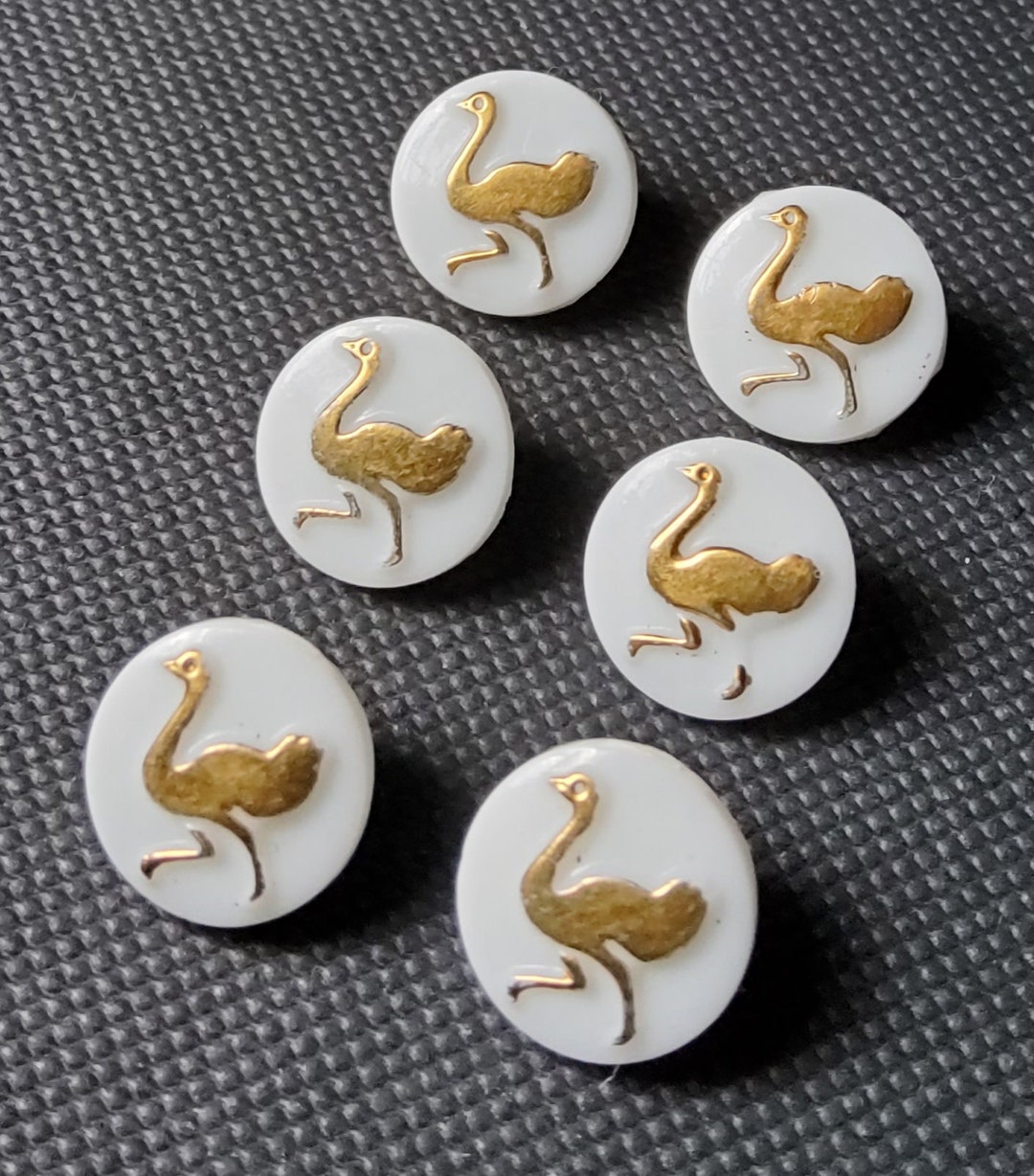 Vintage Set of Six 1930's Glass Emu Buttons. - Etsy UK