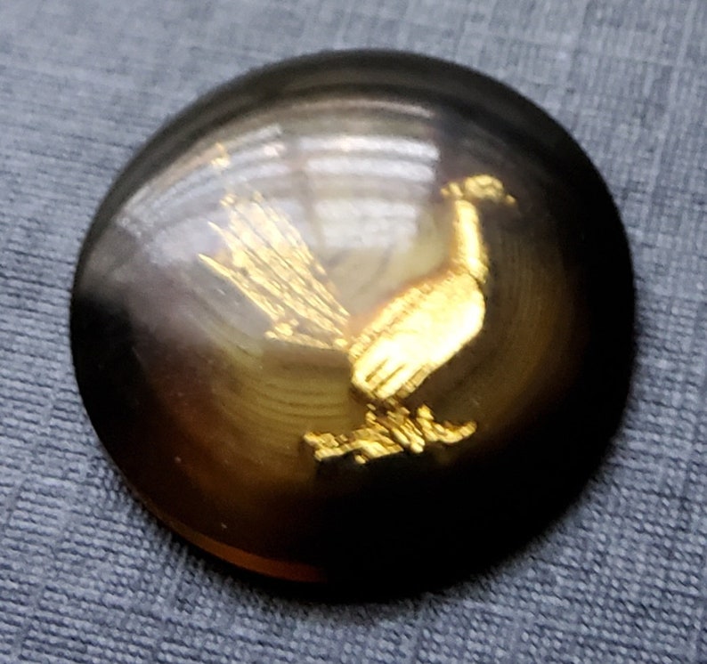 Vintage 1950's Small Faux Horn Button With Inset Gold Pheasant. . - Etsy UK