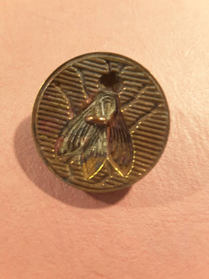 Art Nouveau button of a fly Circa 1910. | Etsy