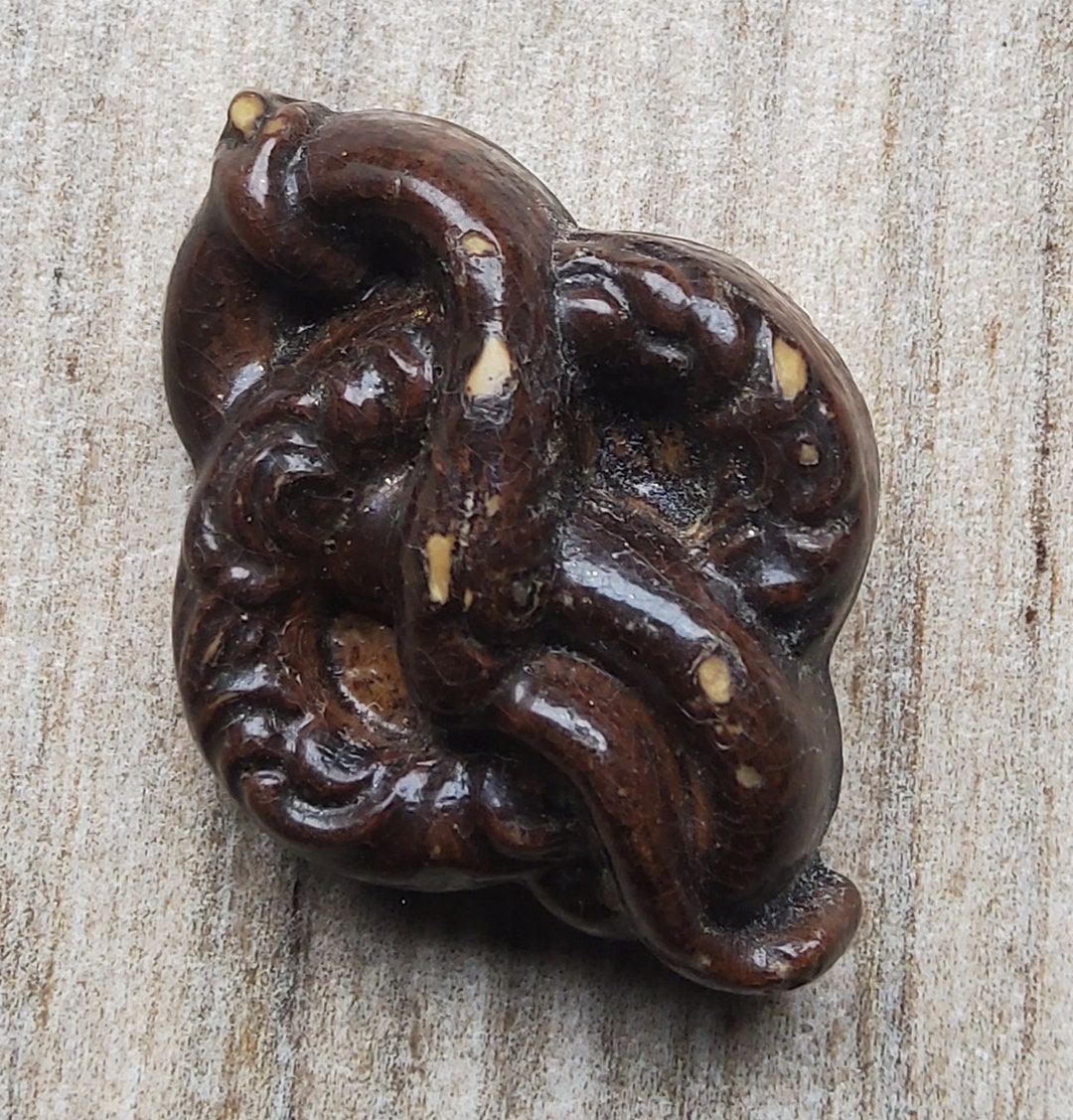 Vintage Large 1930's Coiled Snake Button. - Etsy