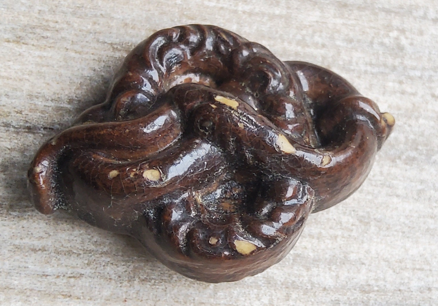 Vintage Large 1930's Coiled Snake Button. - Etsy