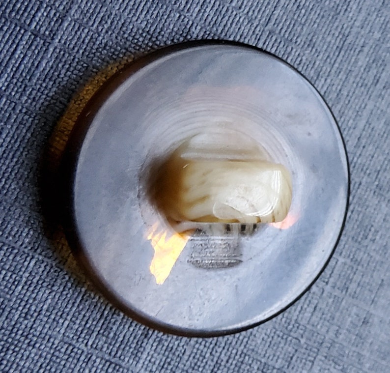 Vintage 1950's Small Faux Horn Button With Inset Gold Pheasant. . - Etsy UK