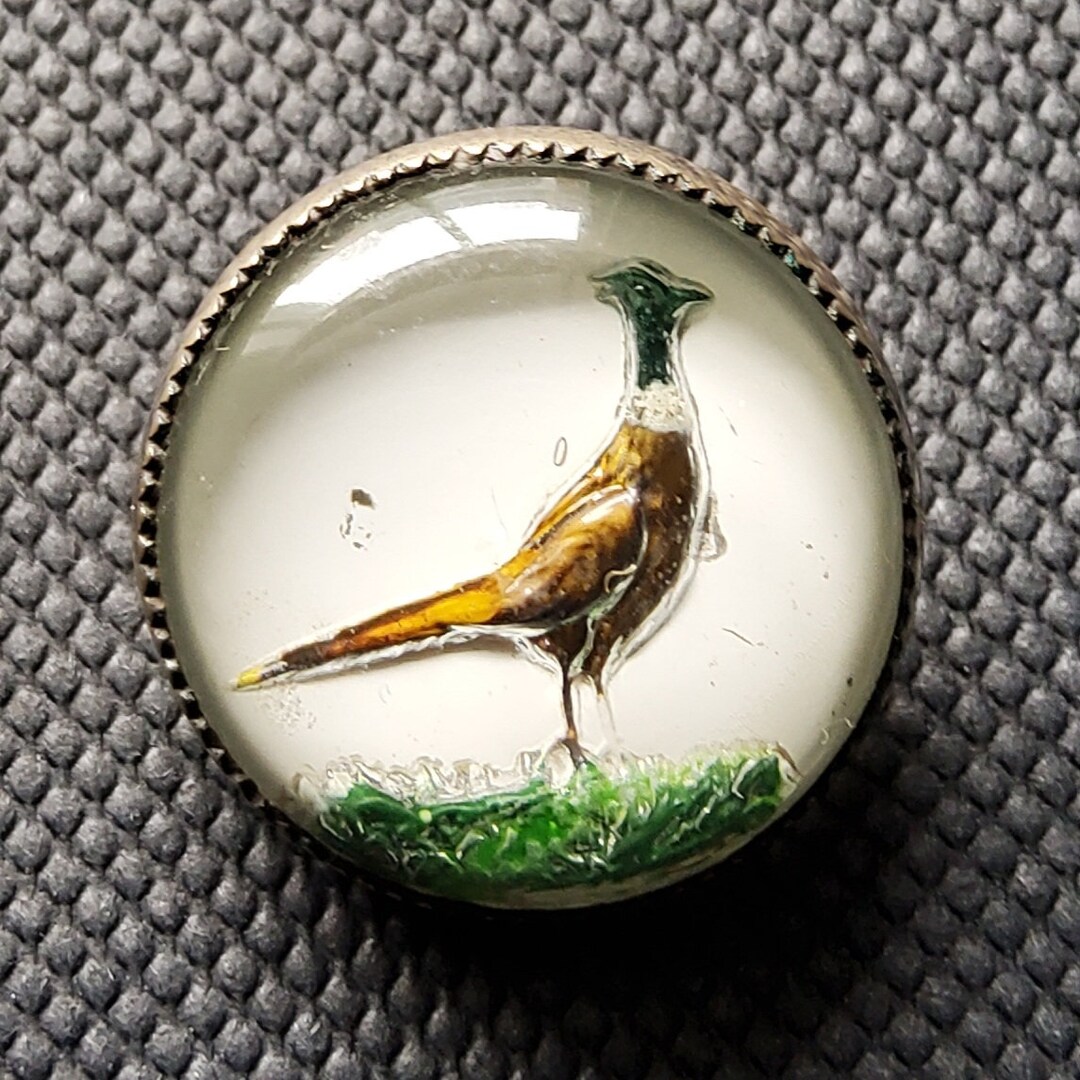 Vintage Reverse Hand Painted Pheasant Glass Button. - Etsy