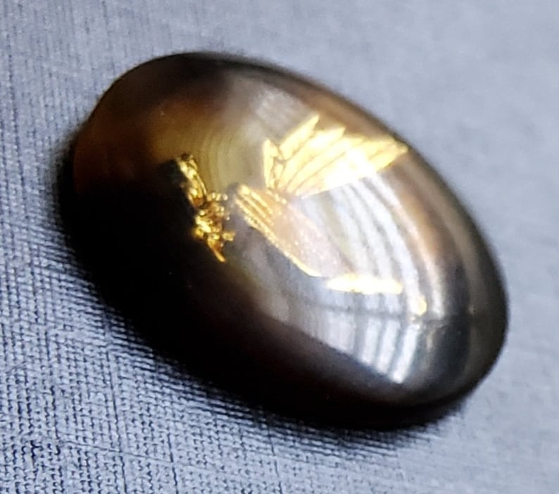 Vintage 1950's Small Faux Horn Button With Inset Gold Pheasant. . - Etsy UK