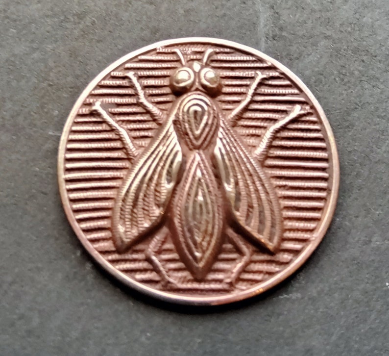 Art Nouveau Button of a Fly Circa 1910. - Etsy