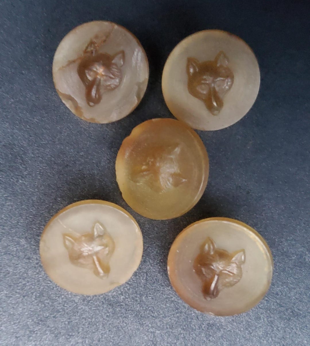 Vintage Early 1900's Set of Five Horn Fox Head Waistcoat Buttons. - Etsy