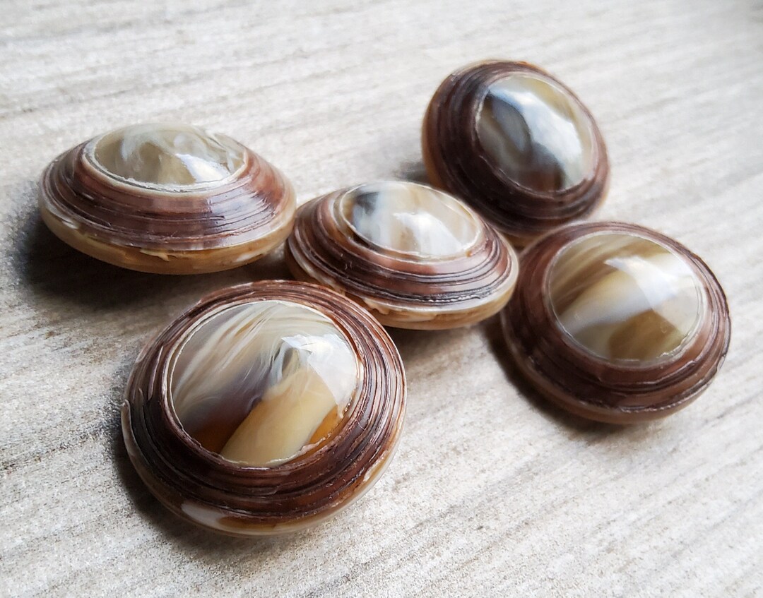 Vintage Set of Five 1930's Faux Shell Buttons. - Etsy