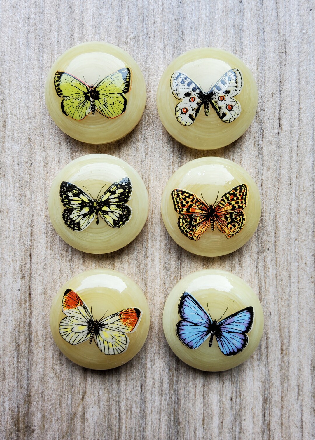 Vintage Set of Six Butterfly Buttons. - Etsy