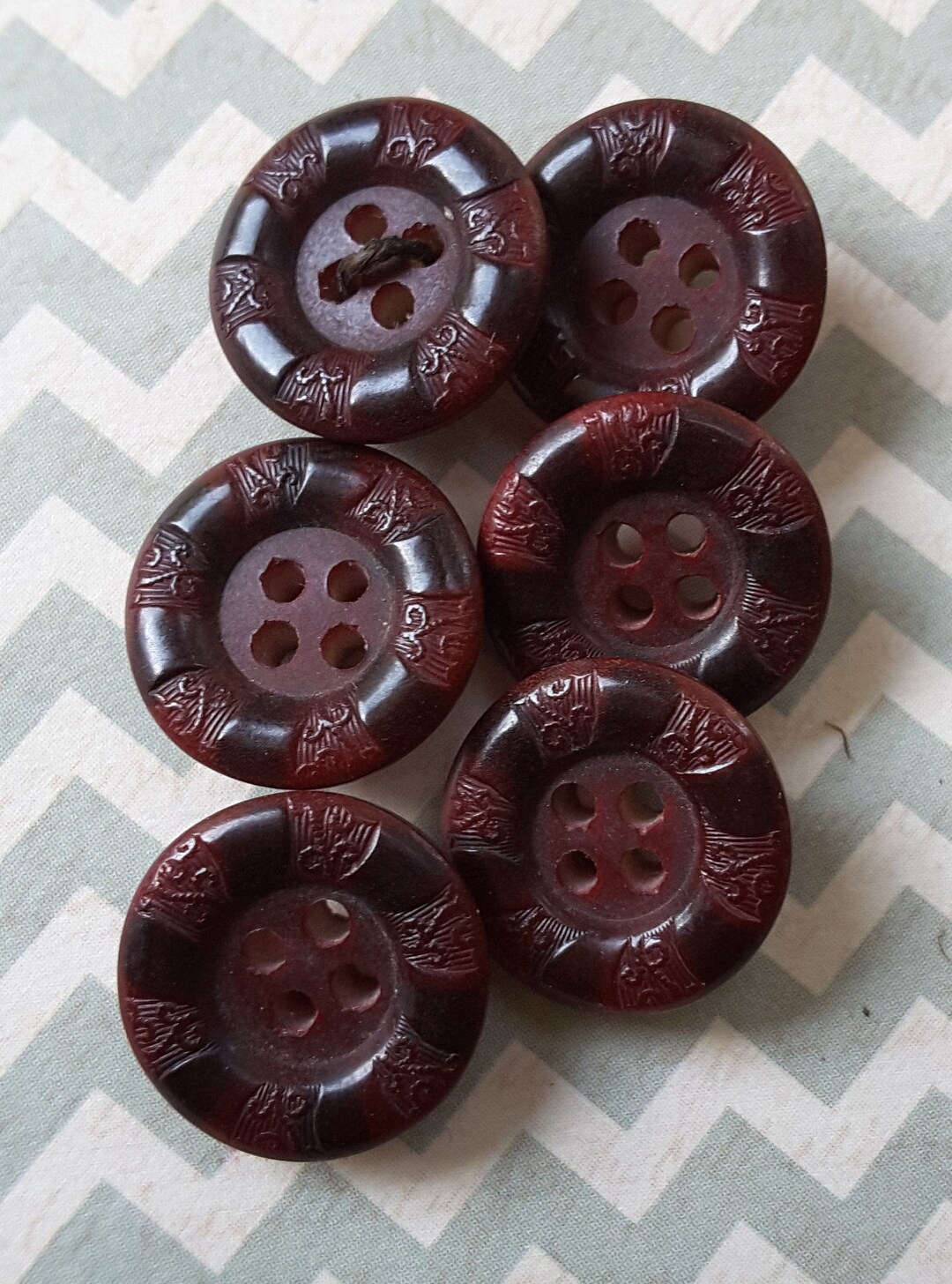 Vintage Set of Six Vegetable Ivory Buttons. - Etsy