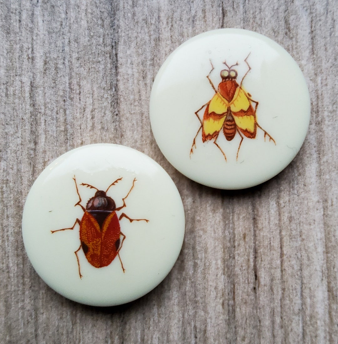 Vintage Pair of Casein Insect Buttons. - Etsy