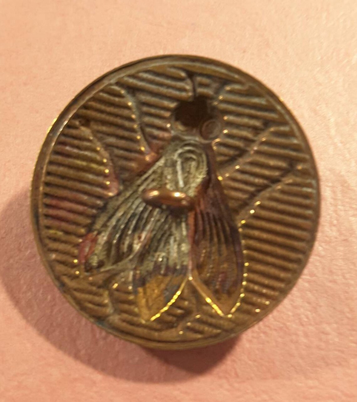 Art Nouveau Button of a Fly Circa 1910. - Etsy