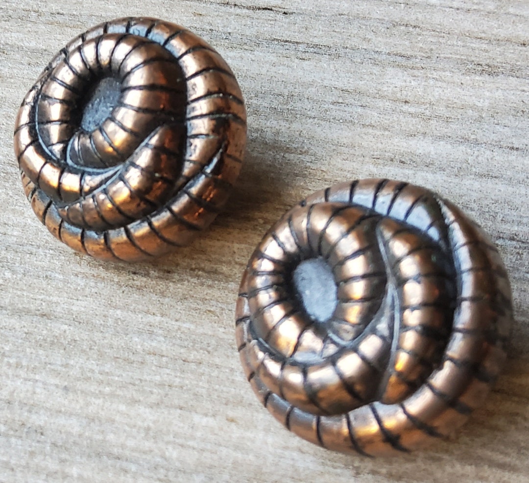 Vintage Pair of 1920-30's Coiled Worm Buttons. - Etsy